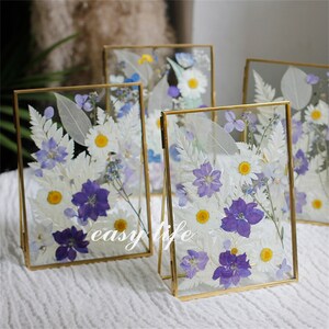 Pressed Flowers Frame,wall Hanging Dried Flower Frame,botanical Art ...