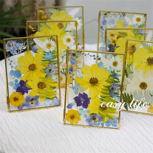 Pressed Flowers Frame,wall Hanging Dried Flower Frame,botanical Art ...