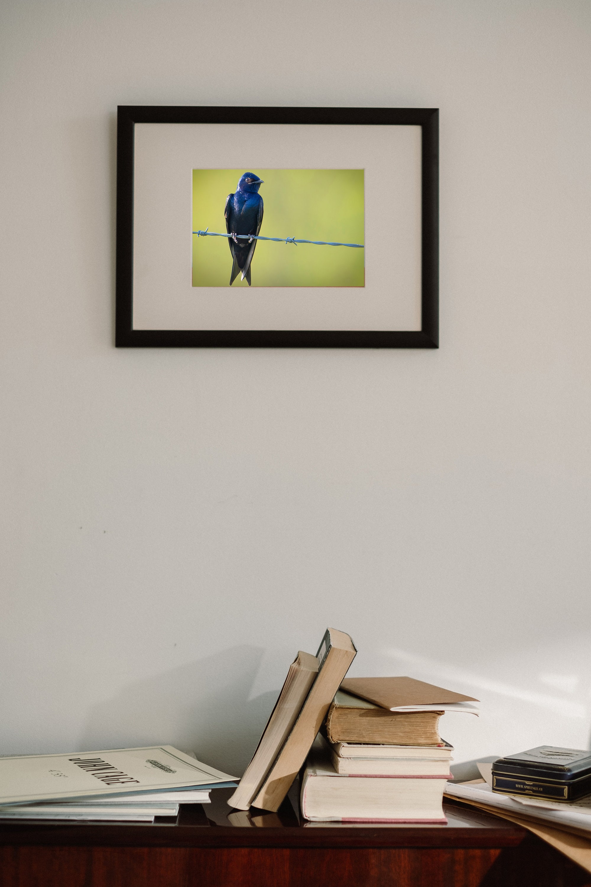 Purple Martin Print - Nature Photography - Bird Decoration - Country ...