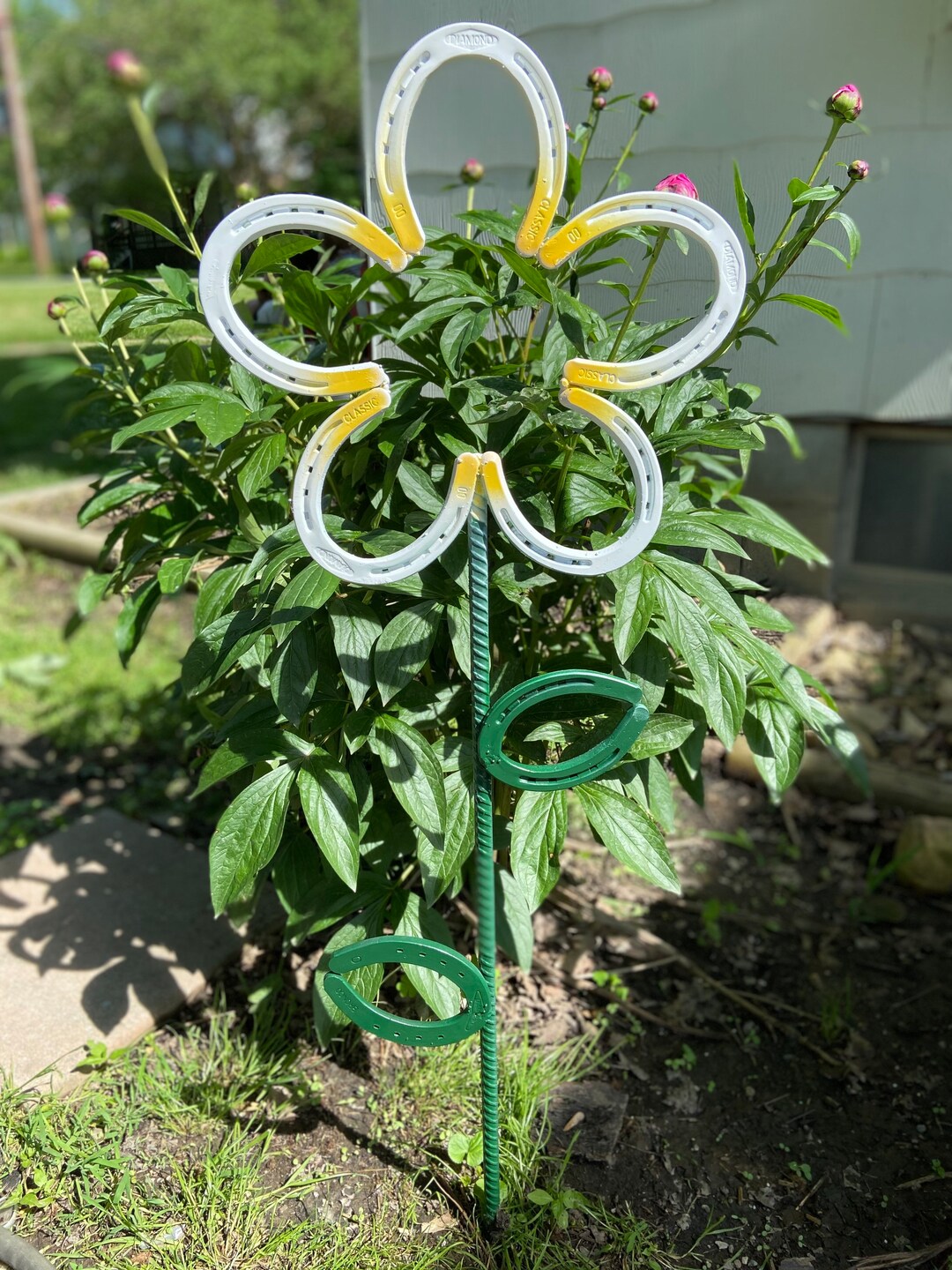 Yard Daisy, Yard Flower - Etsy