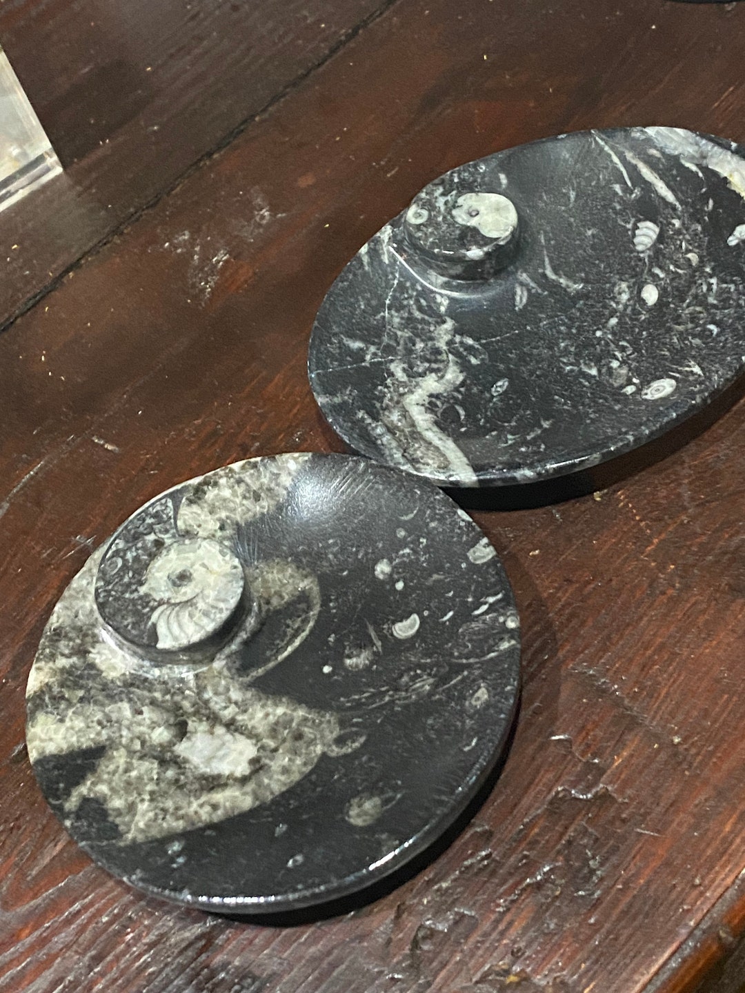 Fossil Soap Dish - Etsy