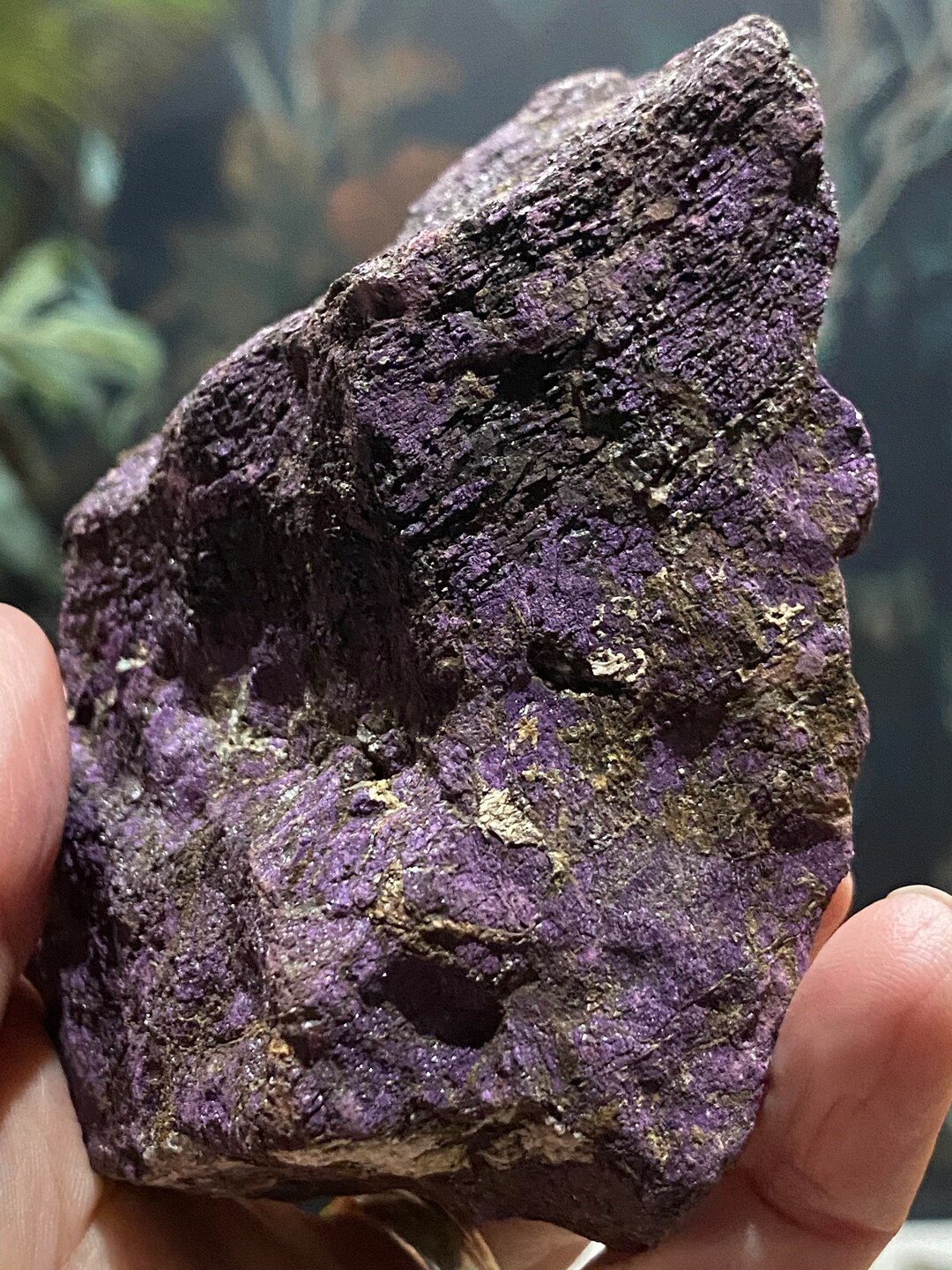 Rare Natural Purpurite Stone - Etsy