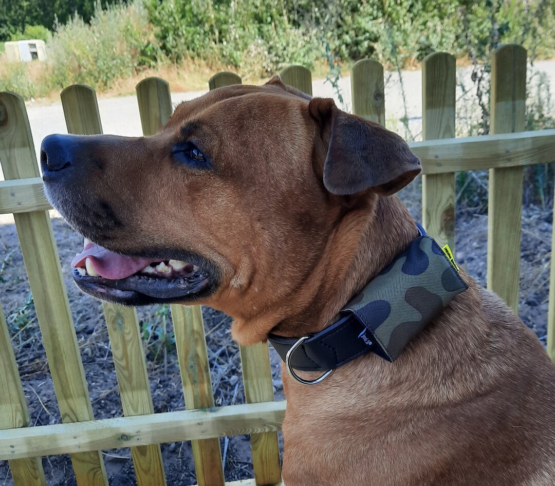 Josi.li® GPS Tracker Tasche für Tractive XL alt, neu, Adventure für Hunde - Hochwertige ...