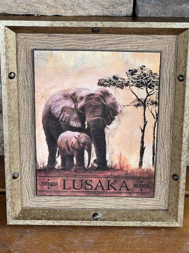Giraffe and Elephant Framed Wall Art, Set of 2, Safari Home Accent - Etsy