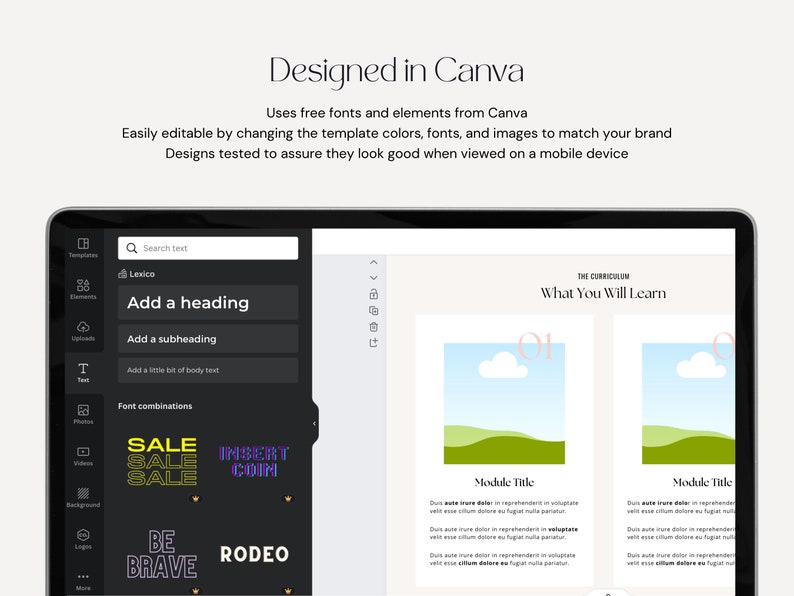 Sales Page Template Canva Online Course Launch Template Health and ...