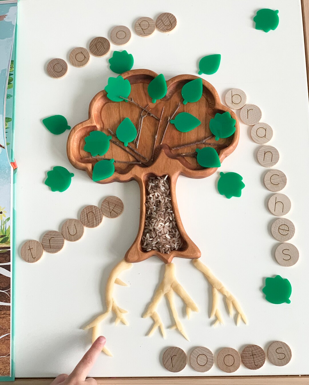 Wood Sensory Tray | Tree Plate | Tree Toys | Kids Gift | Homeschool ...