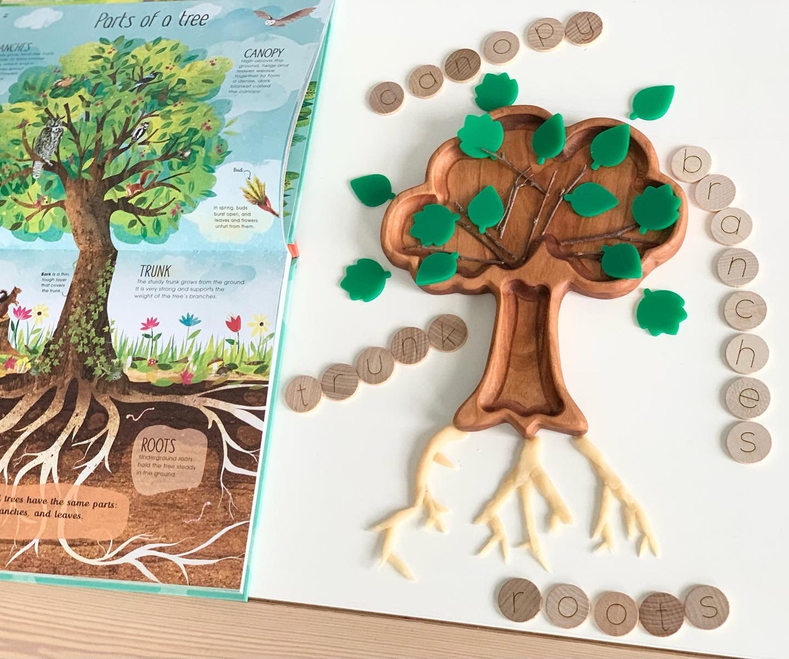 Wood Sensory Tray Tree Plate Tree Toys Kids Gift - Etsy