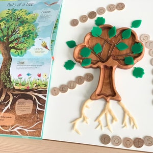 Wood Sensory Tray | Tree Plate | Tree Toys | Kids Gift | Homeschool ...