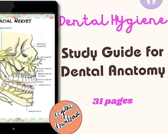 Dental Hygiene Notes Bundle DENTAL MATERIALS Digital PDF Download for ...