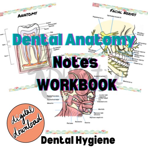 Dental Hygiene Notes Bundle DENTAL MATERIALS Digital PDF - Etsy