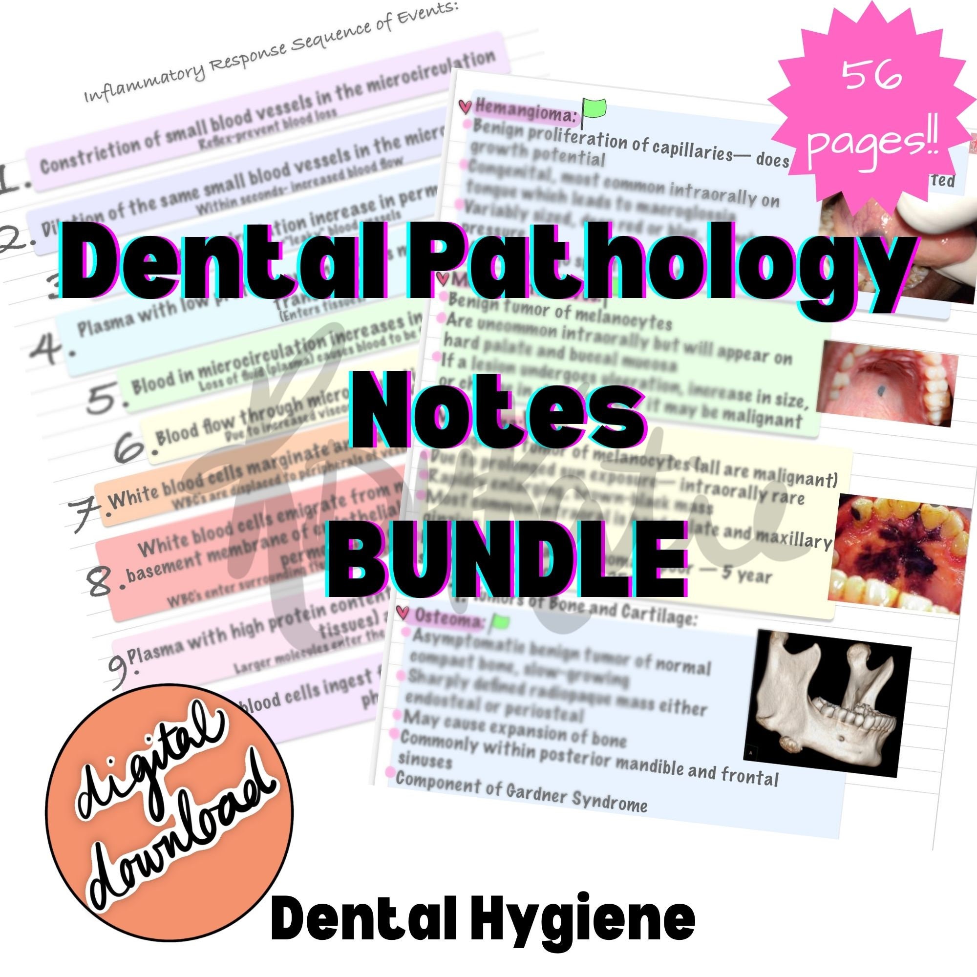 NOTES BUNDLE Dental Hygiene Pathology Digital PDF Download for - Etsy