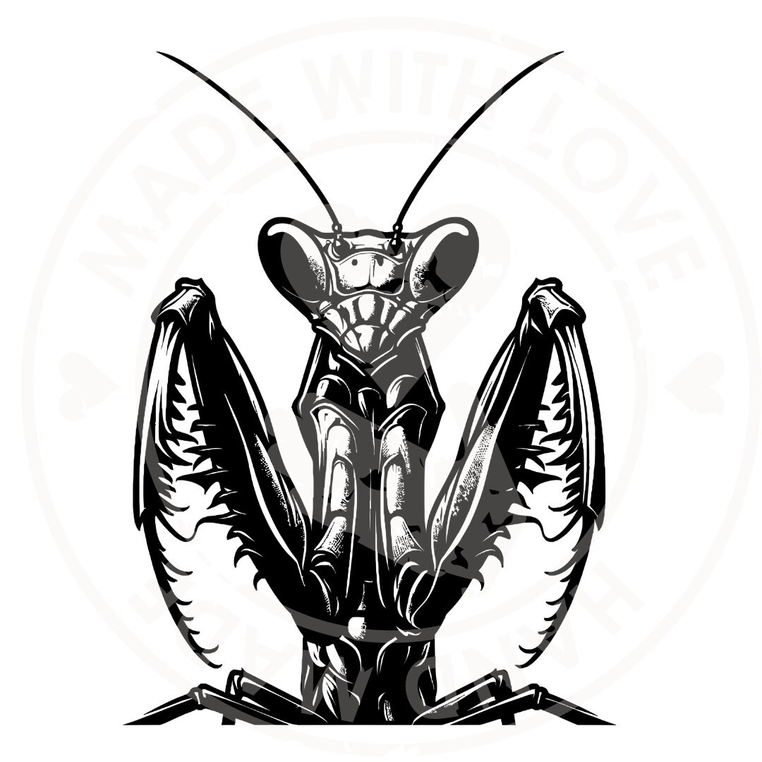 Detailed Praying Mantis Vector Illustration High-quality Insect Art - Etsy