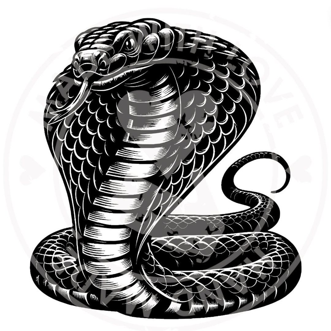 Striking Cobra Snake Vector Illustration Black and White Intricate Art ...