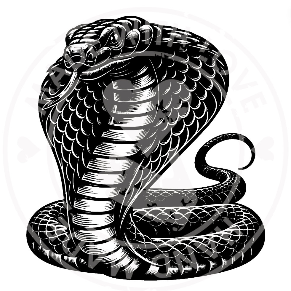 Striking Cobra Snake Vector Illustration Black and White Intricate Art ...
