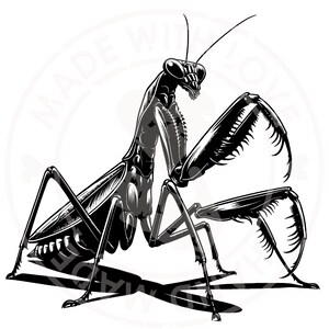 Detailed Praying Mantis Vector Illustration High-quality Insect Art - Etsy