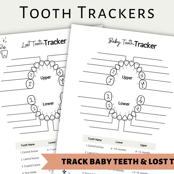 Baby Tooth Chart - Etsy