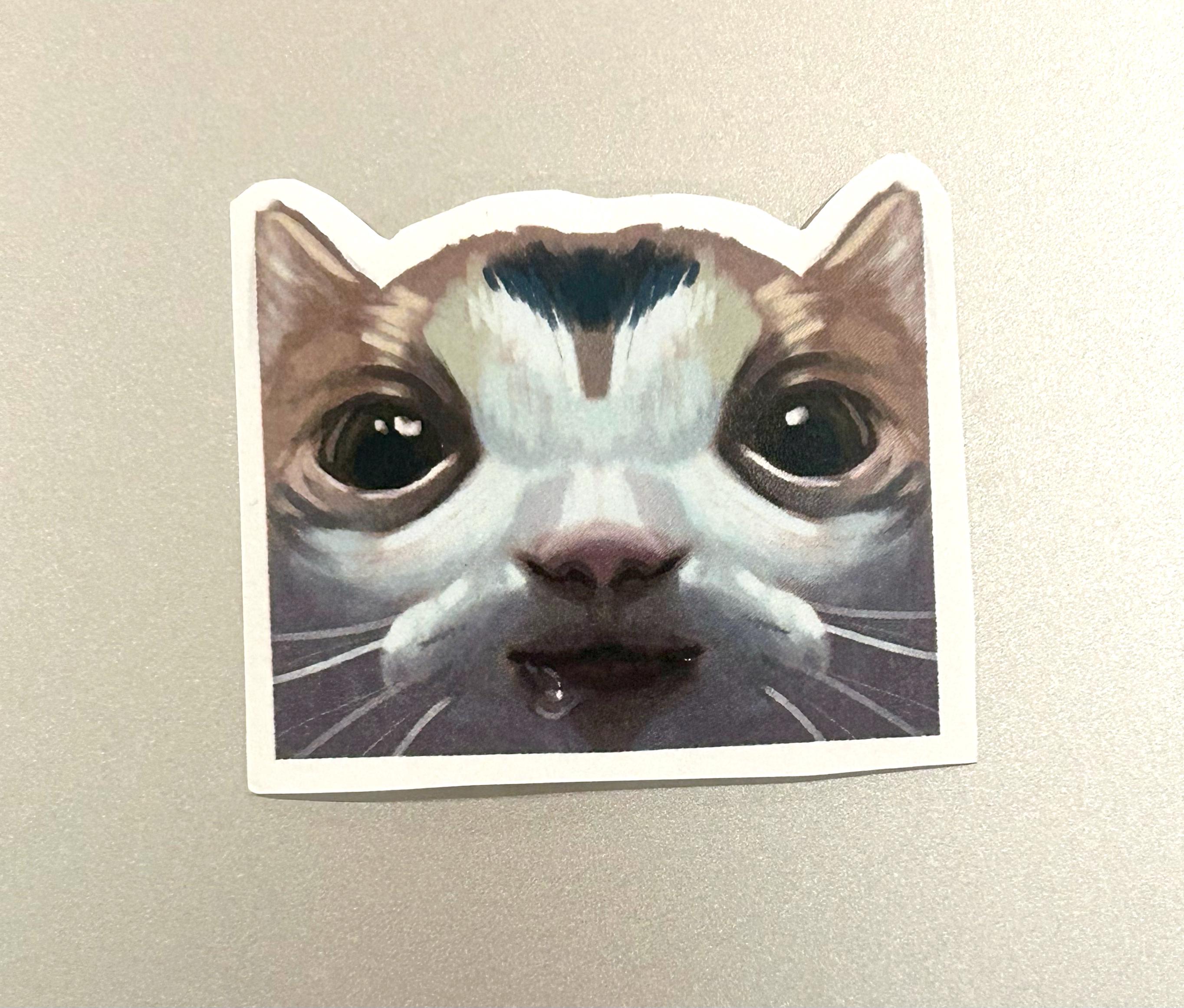 Funny Cat Meme Sticker | Cute Kitty Decals - Etsy