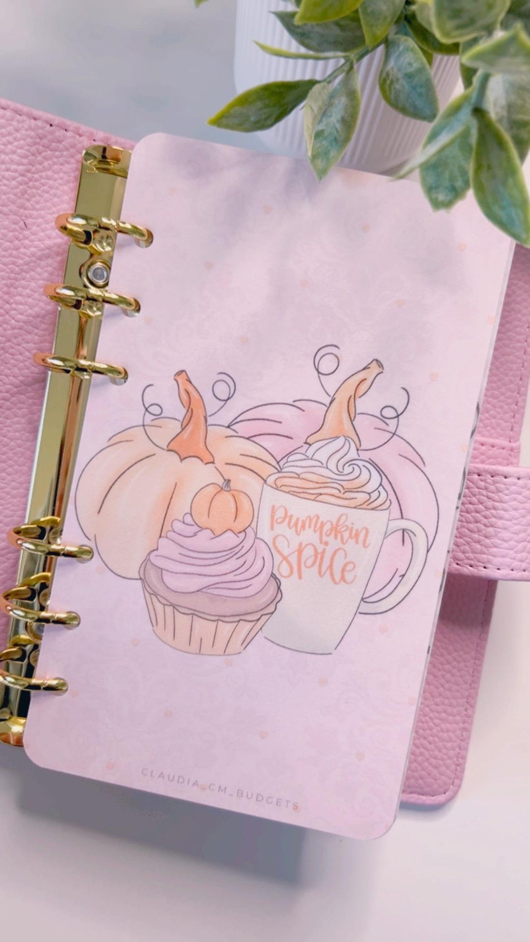 A6 Budget Binder Dashboards: Handmade Laminated Bookmarks - Etsy