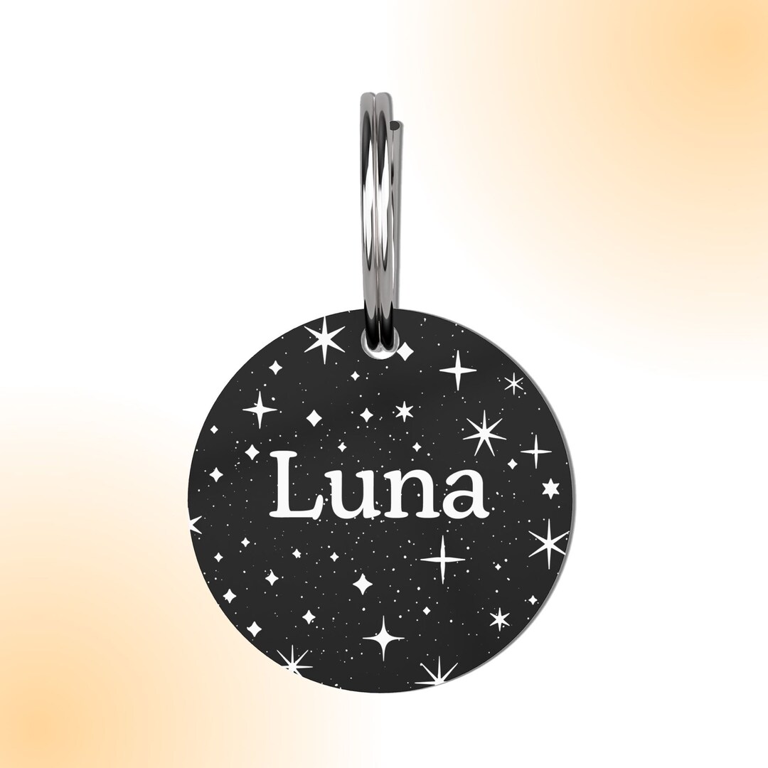 Chippit Stainless Steel Custom Pet ID Tag With QR Code Online Profile ...