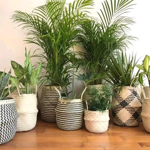 Mexican Basket - Etsy