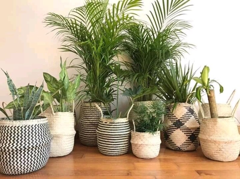 Palm Leaf Basket/ Oaxacan Palm Baskets/ Mexican Palm Leaf Basket ...