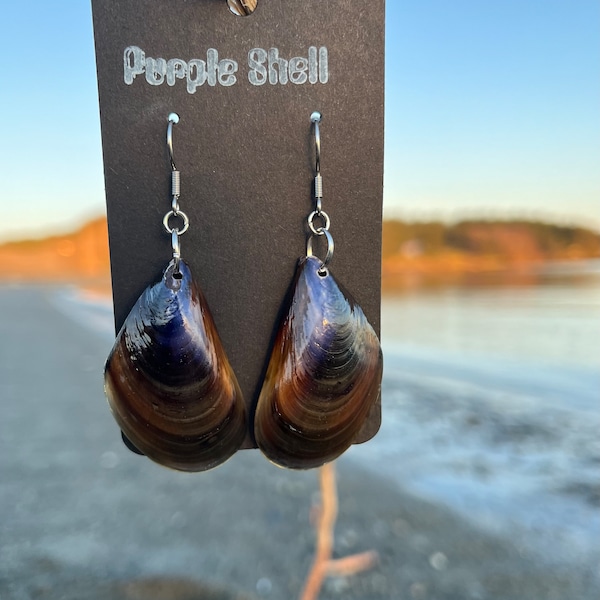 Mussel Shell Earring - Etsy