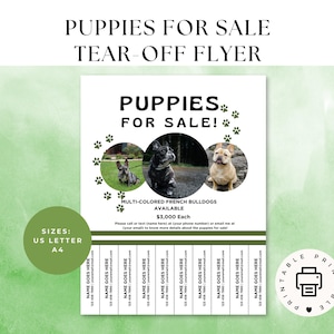 Dog Breeding Flyer Template - Etsy
