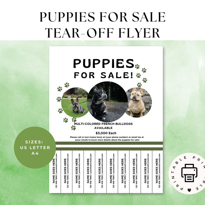 Dog Breeding Flyer - Etsy