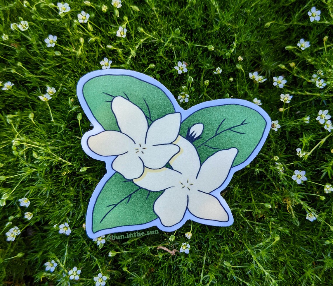 Sampaguita 2.7x2.3inch Sticker | Die Cut | National Flower of the ...