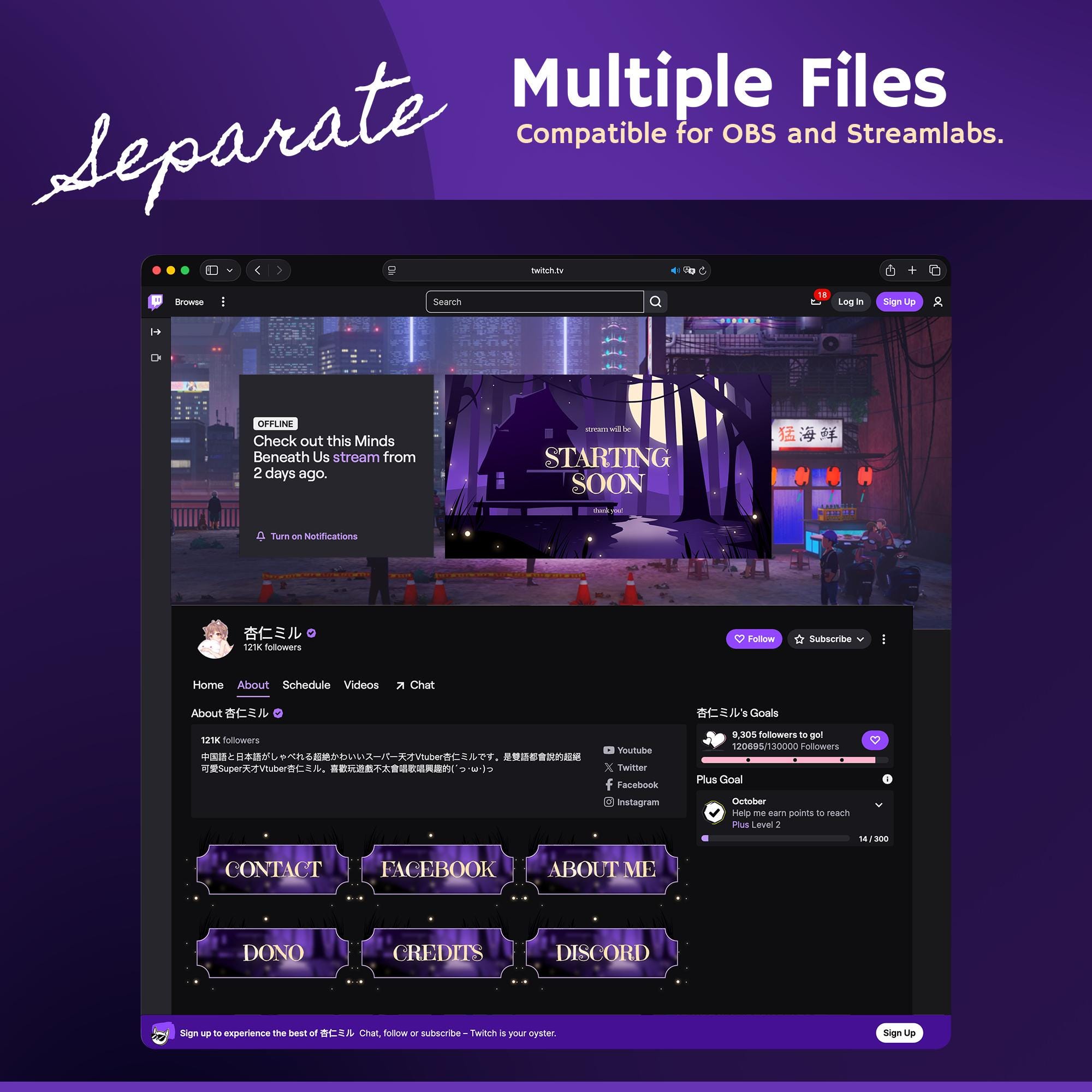 Animated Phantom Forest Stream Overlay: Dark Aesthetic Design for ...