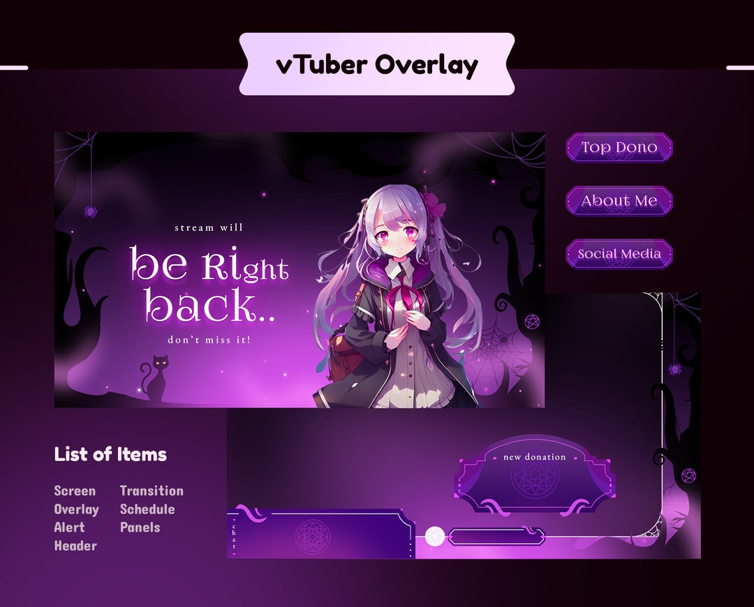 Sorcerer Vtuber Animated Stream Package/stream Overlay/transition ...