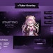 Stardust Vtuber Animated Stream Package/stream Overlay/transition ...