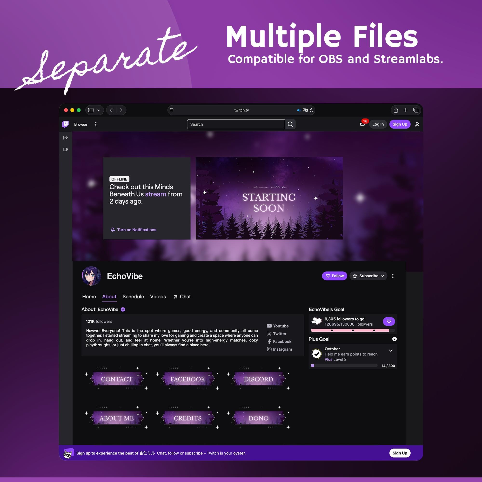 Animated Twilight Aurora Stream Overlay: Cozy Purple Night Forest for ...