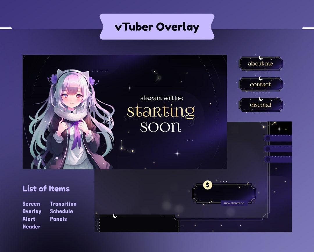 Golden Hour Animated Stream Package/dark Blue Theme/twitch Set/panels ...