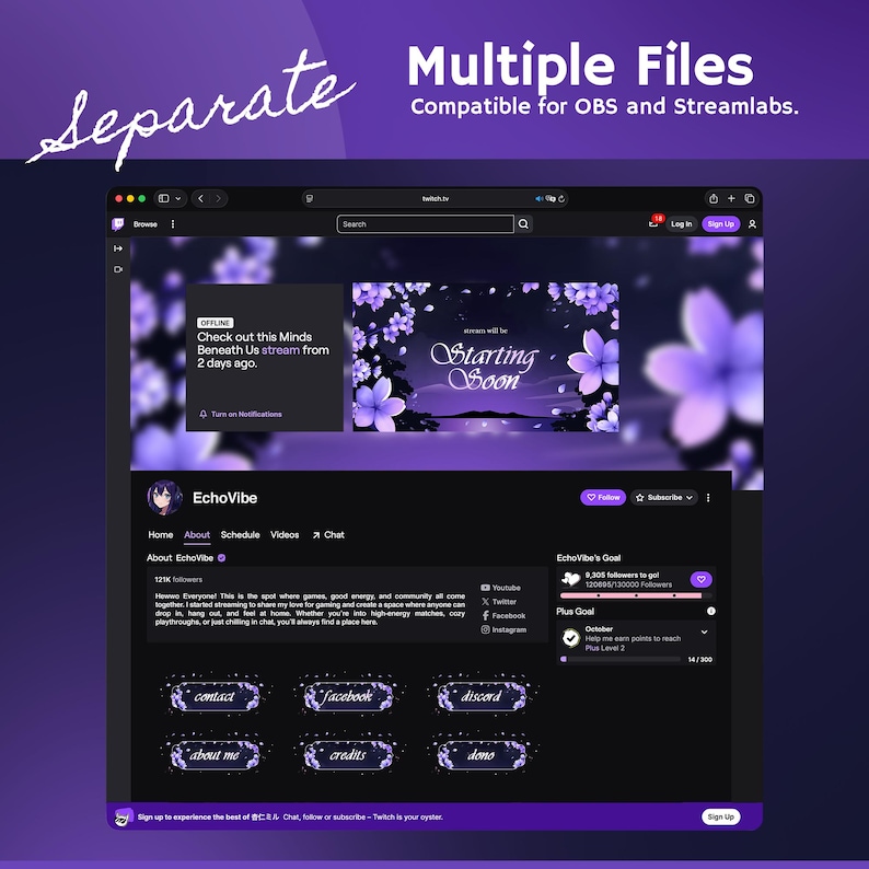 Animated Serenade Violet Stream Pack: Cozy Purple Sakura Night for ...