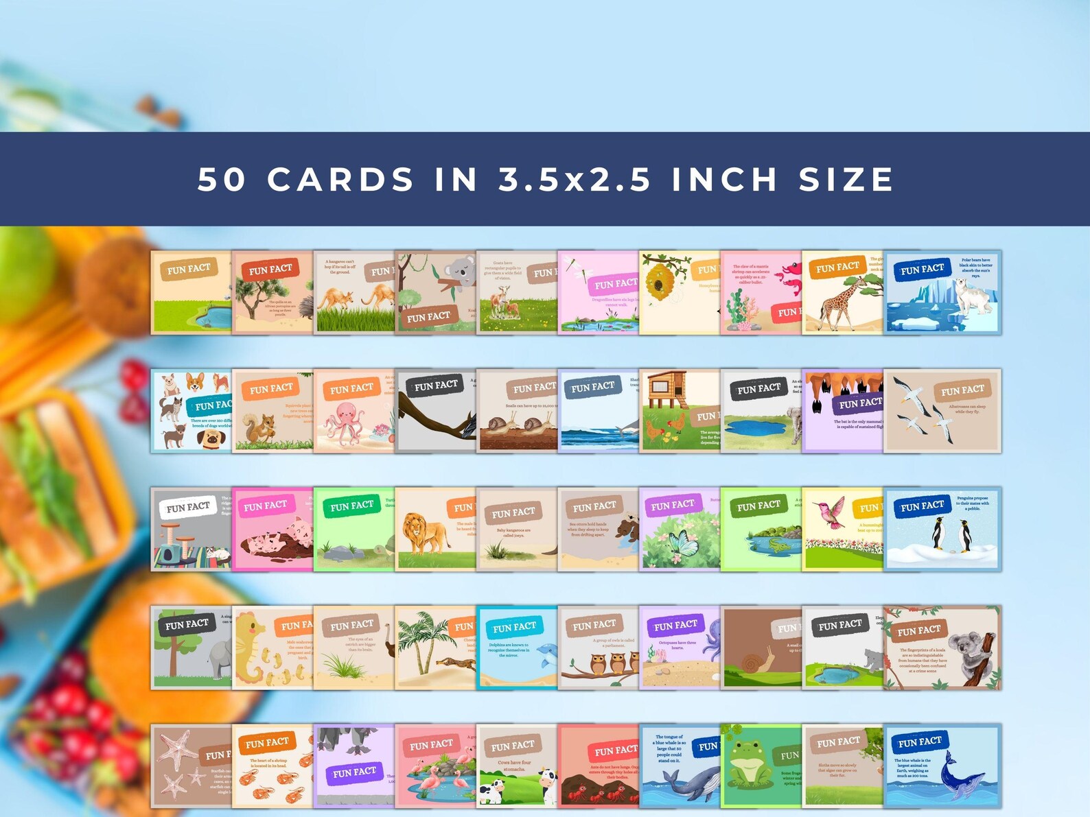 Fun Fact Cards for Kids - Printable Lunchbox Notes - Educational Cards ...