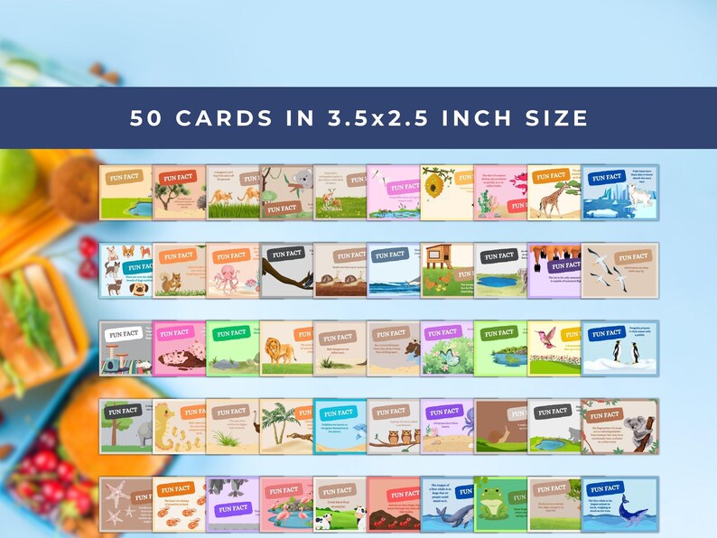 Fun Fact Cards for Kids - Printable Lunchbox Notes - Educational Cards ...