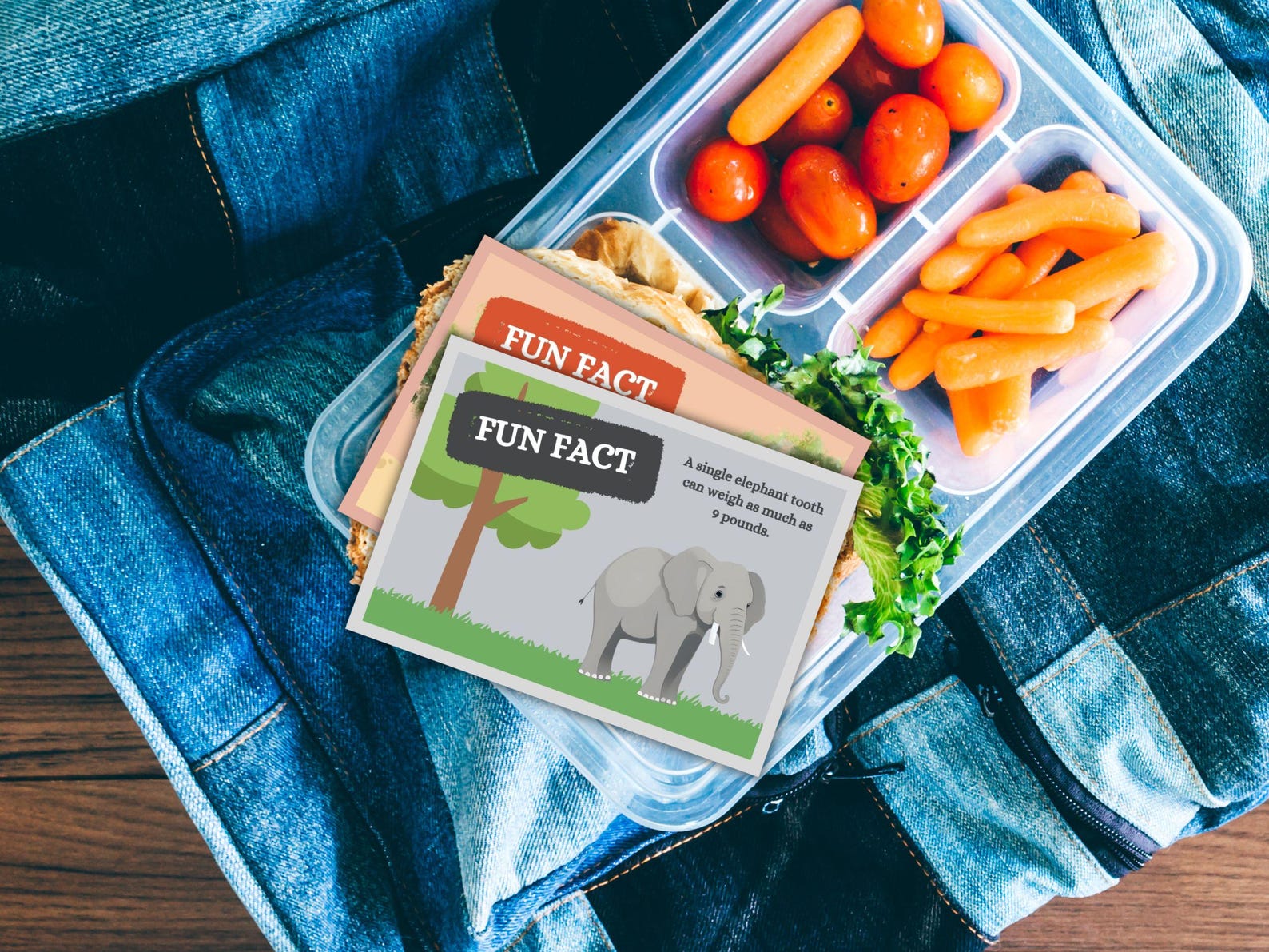 Fun Fact Cards for Kids - Printable Lunchbox Notes - Educational Cards ...