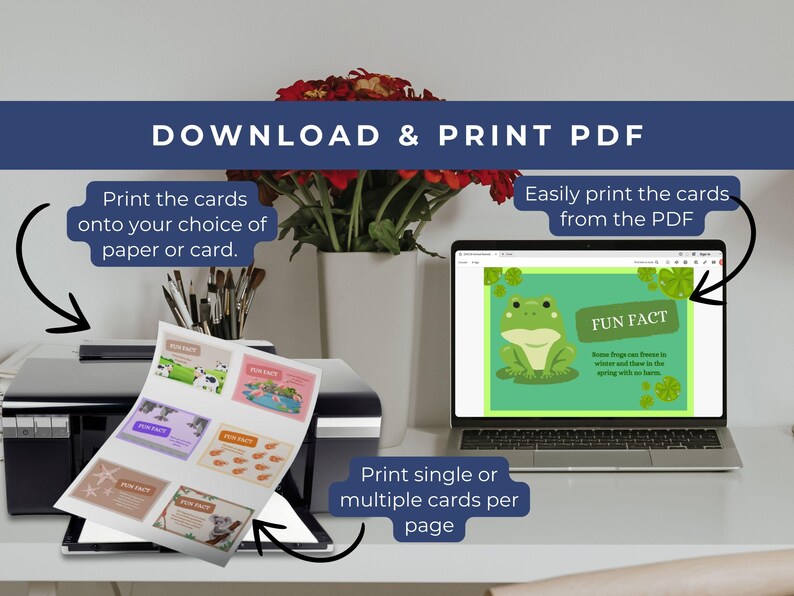 Fun Fact Cards for Kids - Printable Lunchbox Notes - Educational Cards ...
