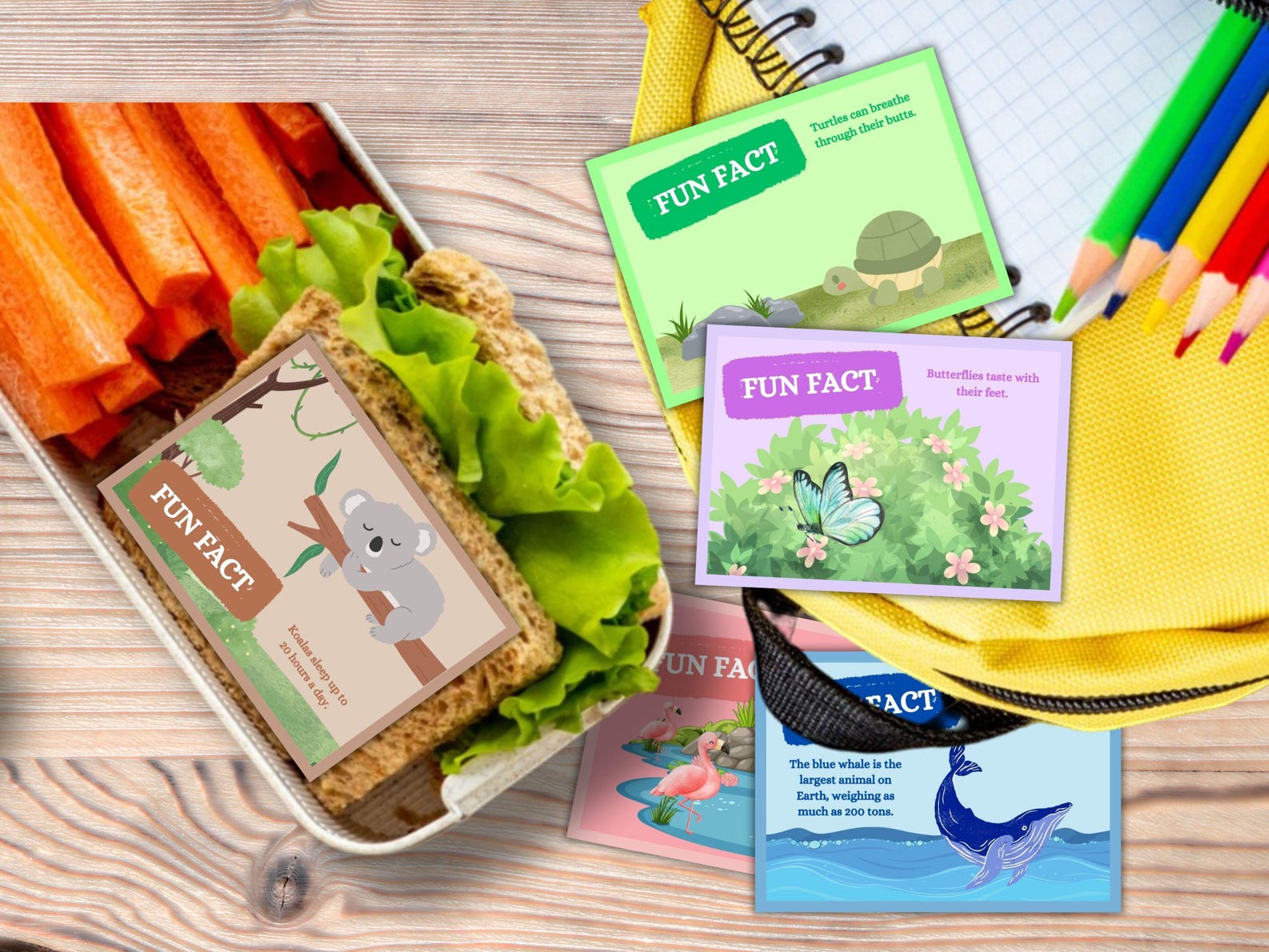 Fun Fact Cards for Kids - Printable Lunchbox Notes - Educational Cards ...