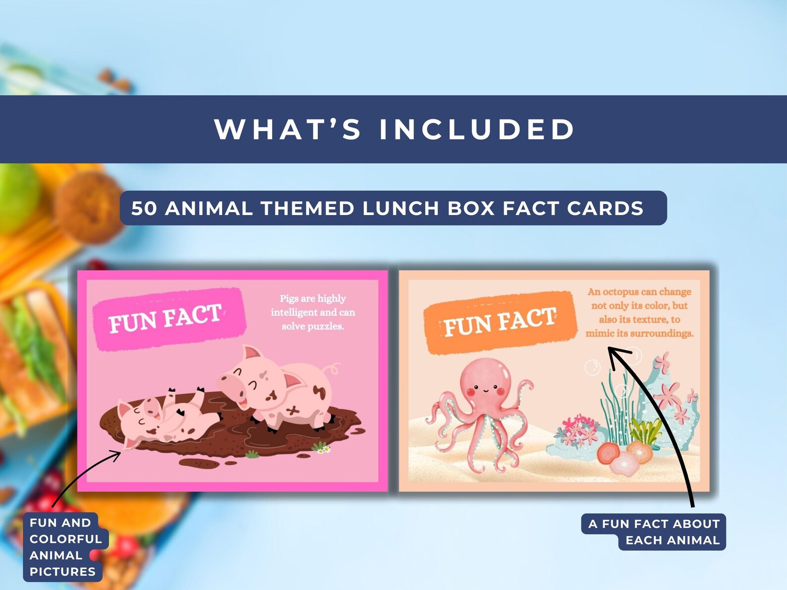 Fun Fact Cards for Kids - Printable Lunchbox Notes - Educational Cards ...