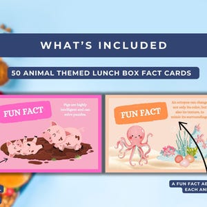Fun Fact Cards for Kids - Printable Lunchbox Notes - Educational Cards ...