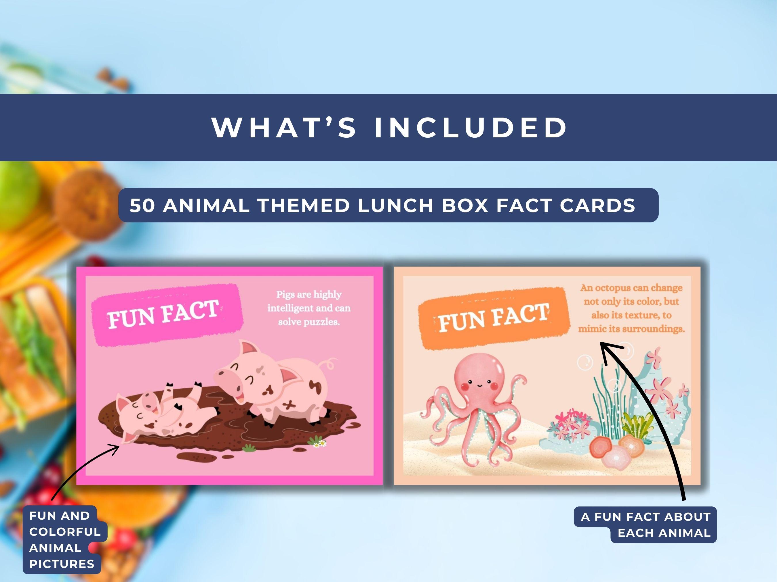 Fun Fact Cards for Kids - Printable Lunchbox Notes - Educational Cards ...