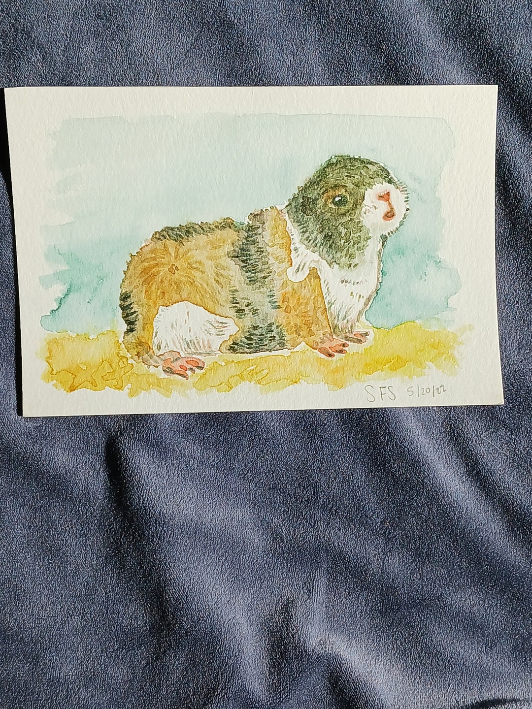Original Guinea Pig Watercolor Painting - Etsy