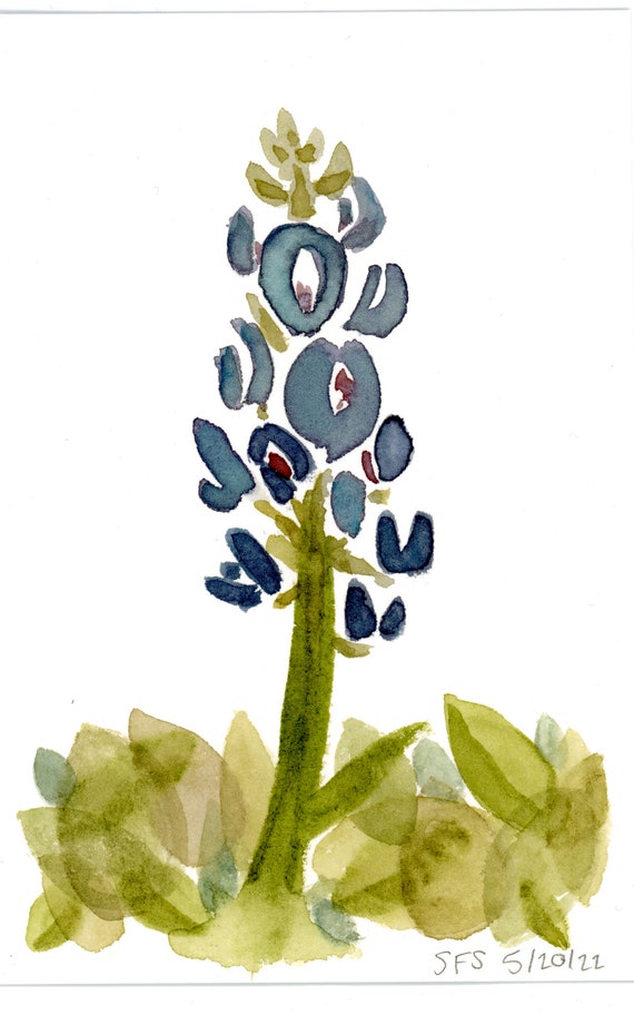 Original Bluebonnet Watercolor Painting - Etsy