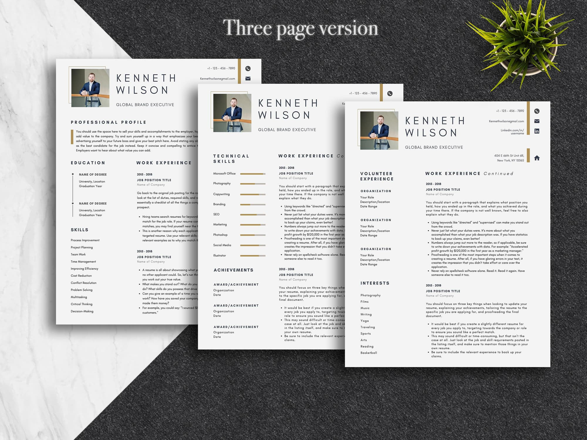 Canva Resume Template, Modern Professional CV, ATS Friendly (US Letter ...