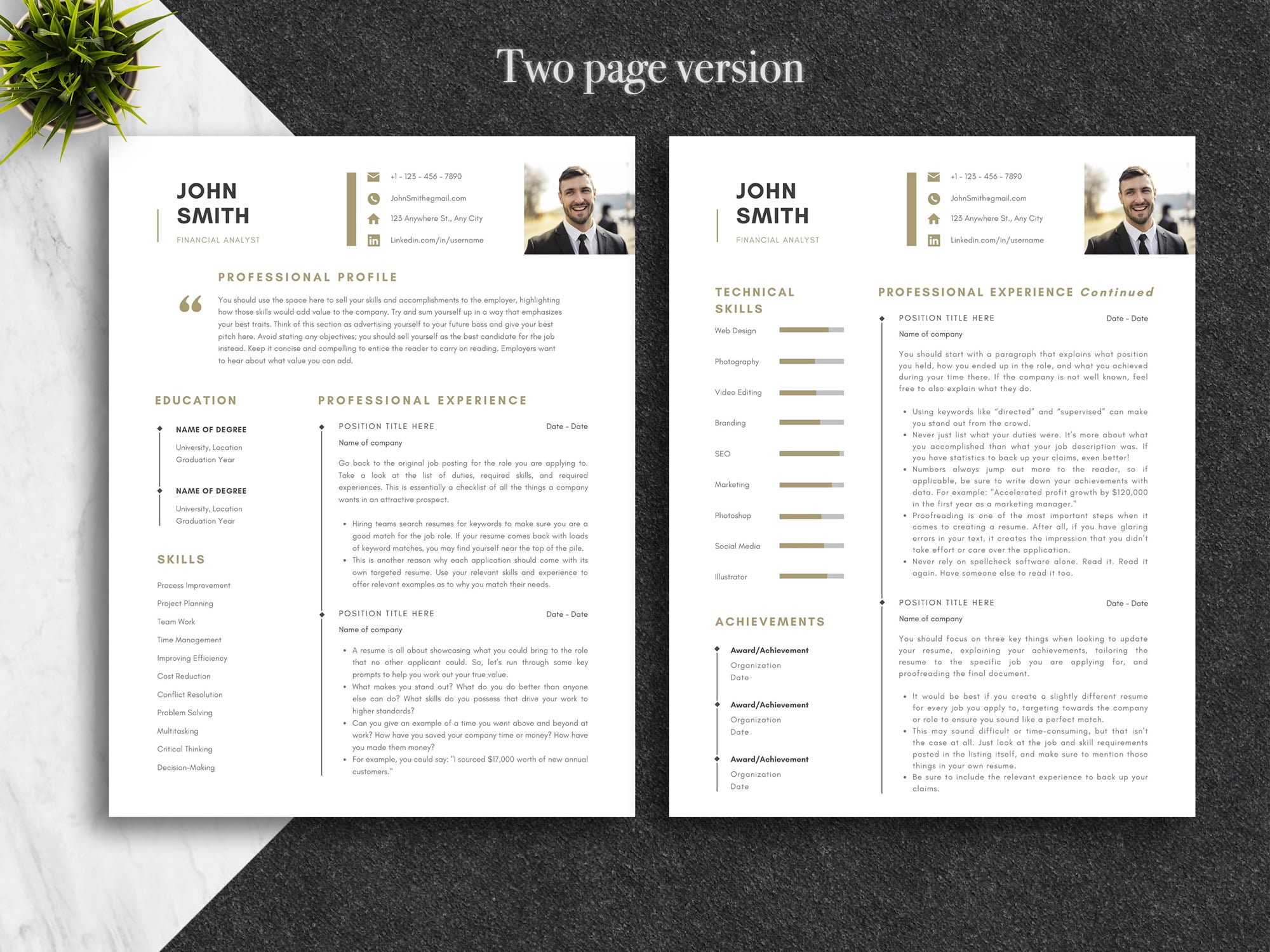 Canva Executive Resume Template, Canva CV CV Template Professional ...