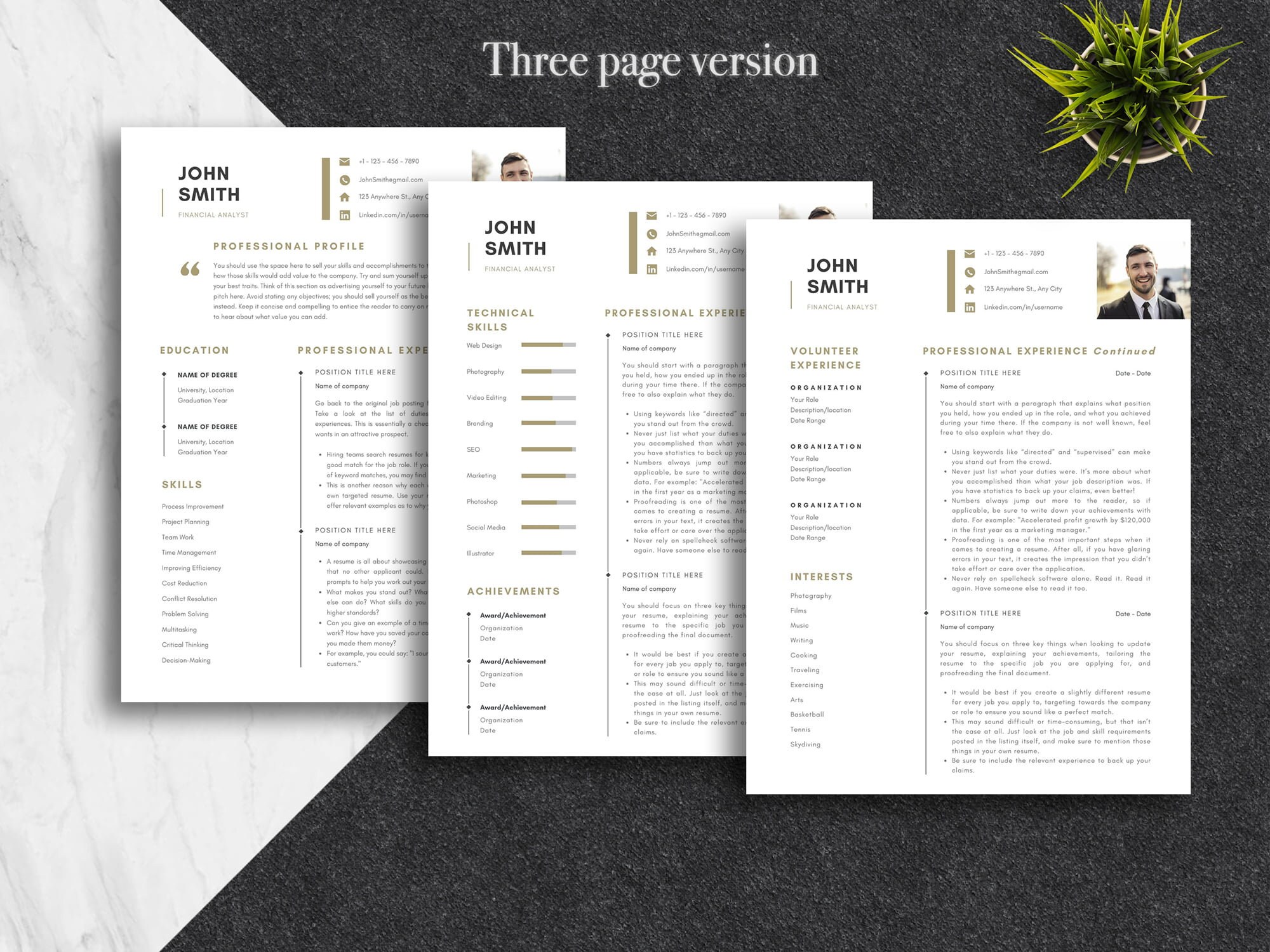 Canva Executive Resume Template, Canva CV CV Template Professional ...
