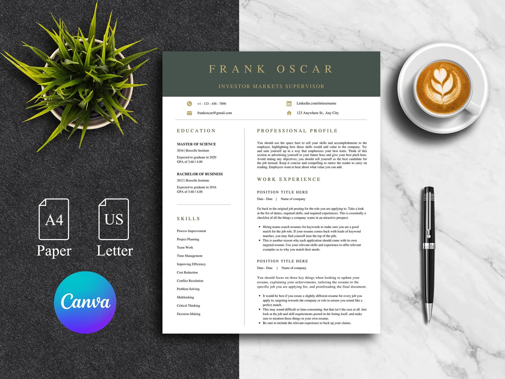 Canva Executive Resume Template for Canva CV Canva CV - Etsy