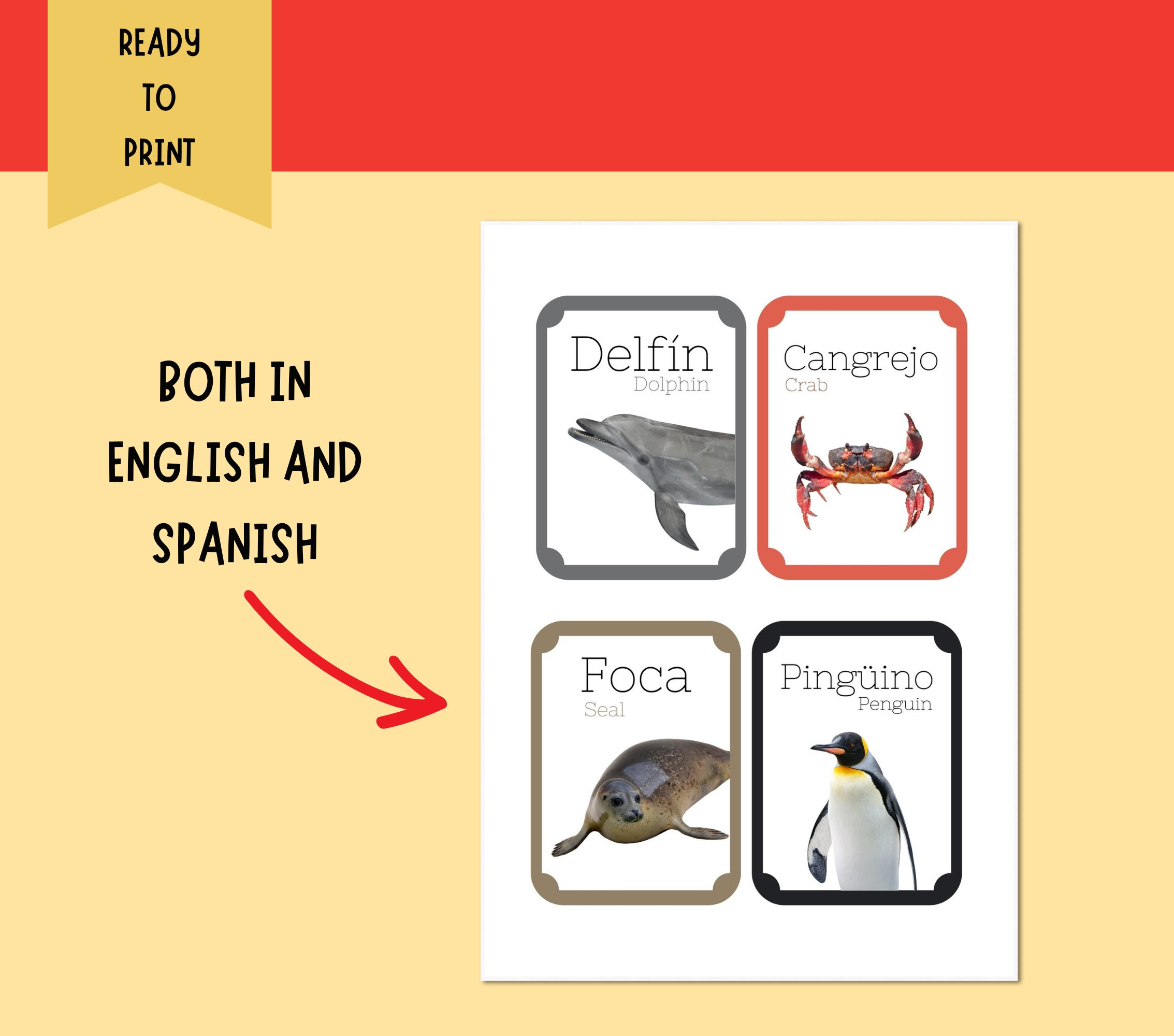 SPANISH/ ENGLISH Animal FLASHCARDS. Real Images, Digital Download, Over ...